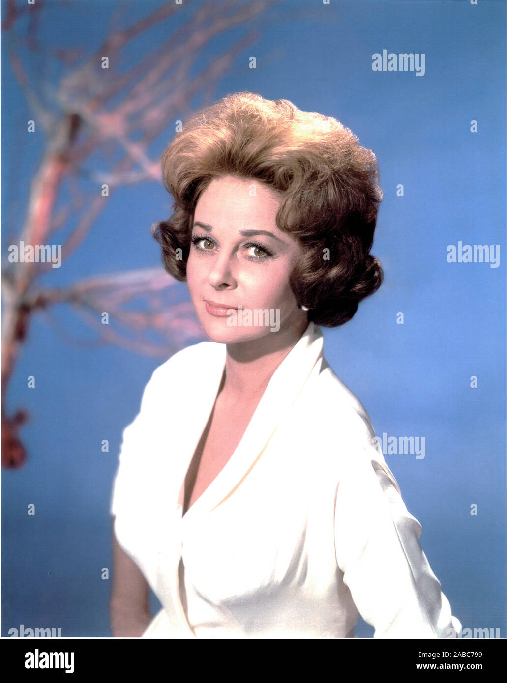 WHERE LOVE HAS GONE, Susan Hayward, 1964 Stock Photo - Alamy