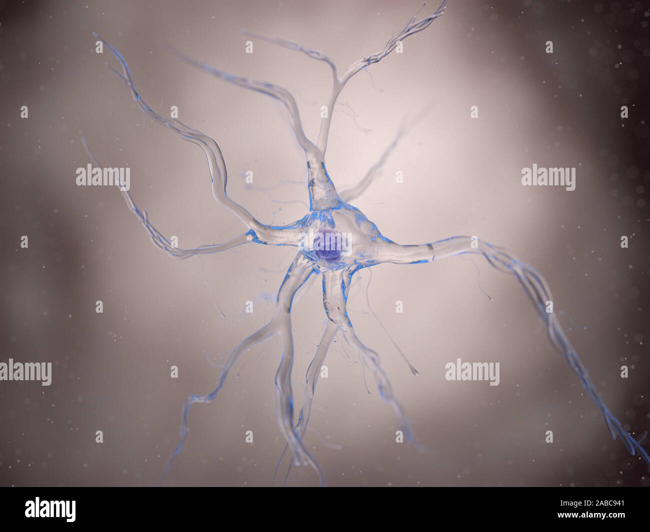 Nerve cell structure hi-res stock photography and images - Alamy