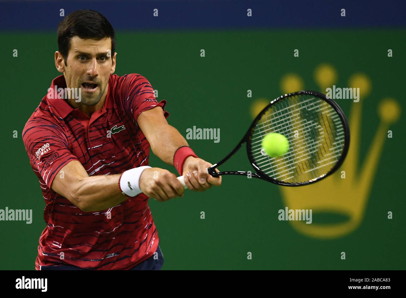 Serbian professional tennis player Novak Djokovic competes against ...