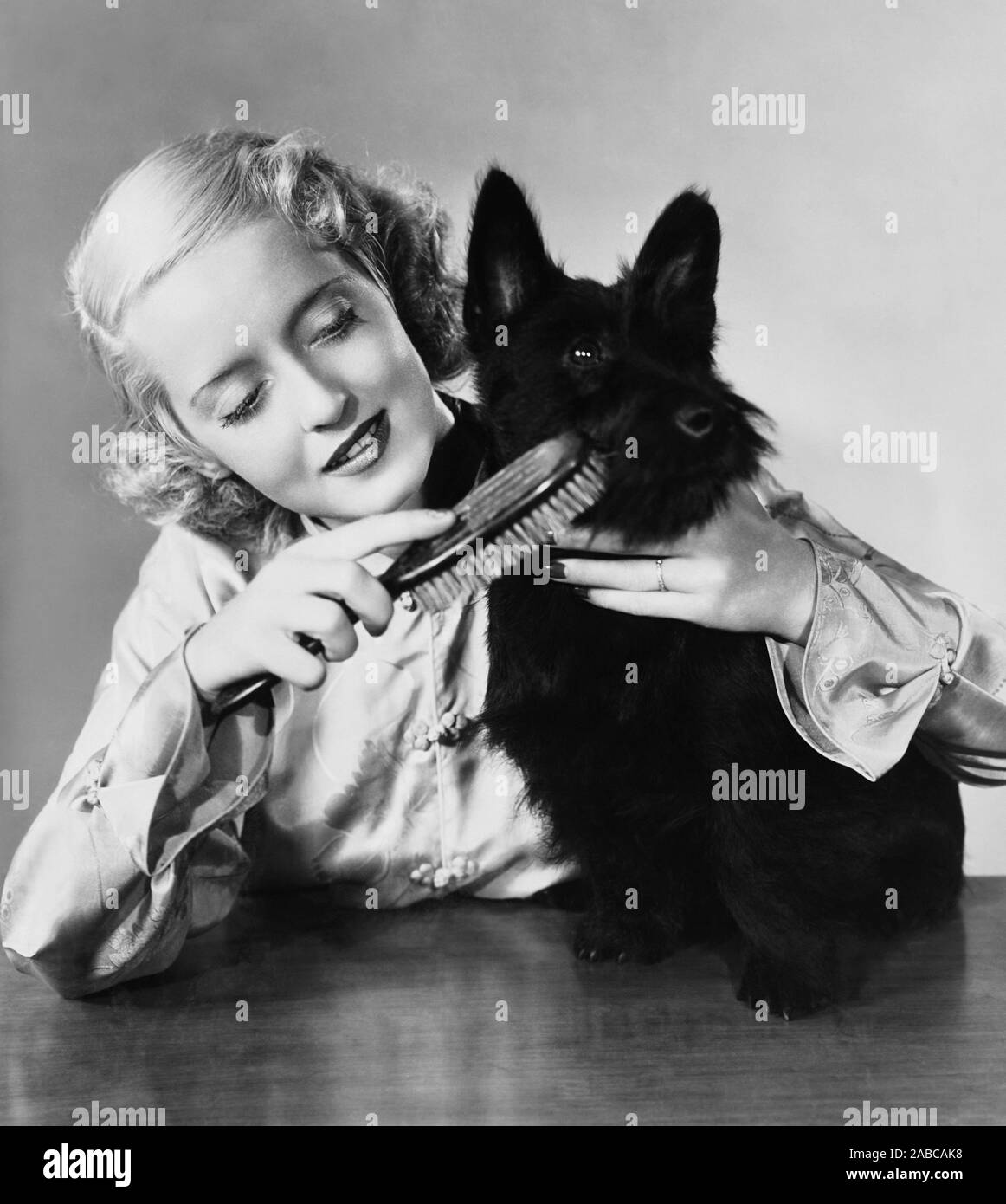 THE BIG SHAKEDOWN, Bette Davis preparing her Scottie dog Tibbie for his ...