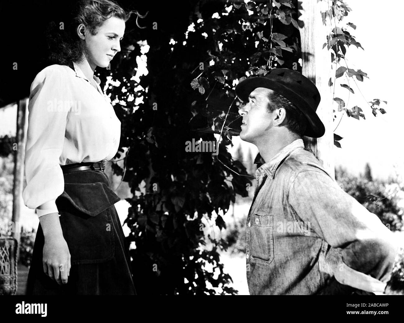 THE BLAZING FOREST, from left, Susan Morrow, John Payne, 1952 Stock ...