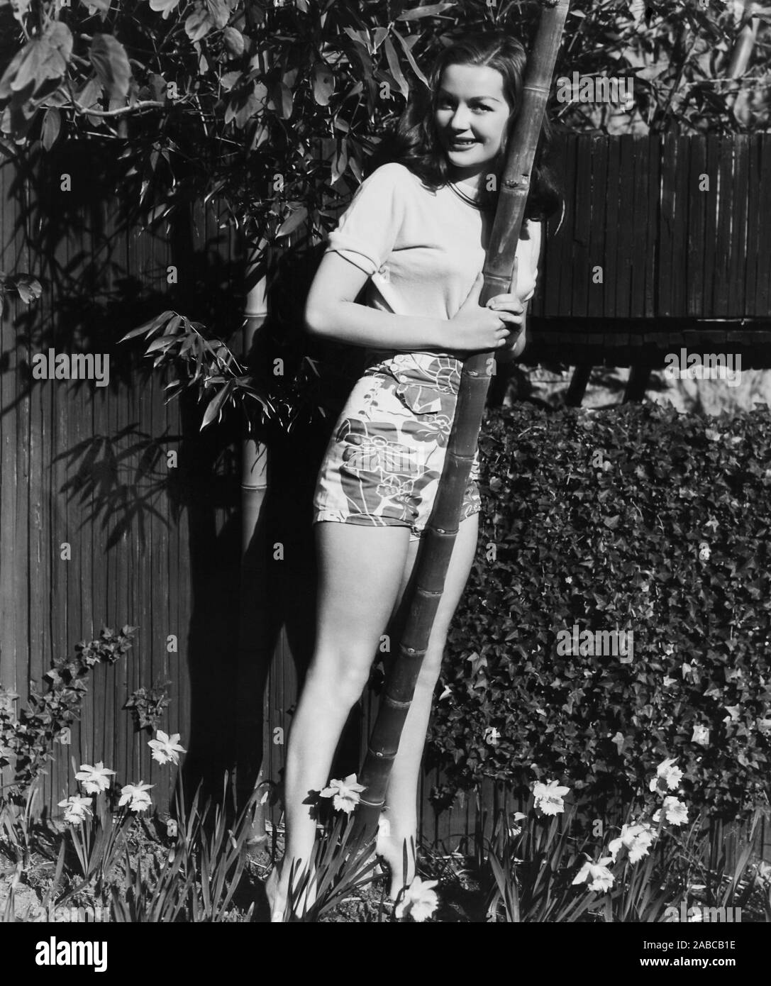 BODY AND SOUL, Hazel Brooks, 1947 Stock Photo - Alamy