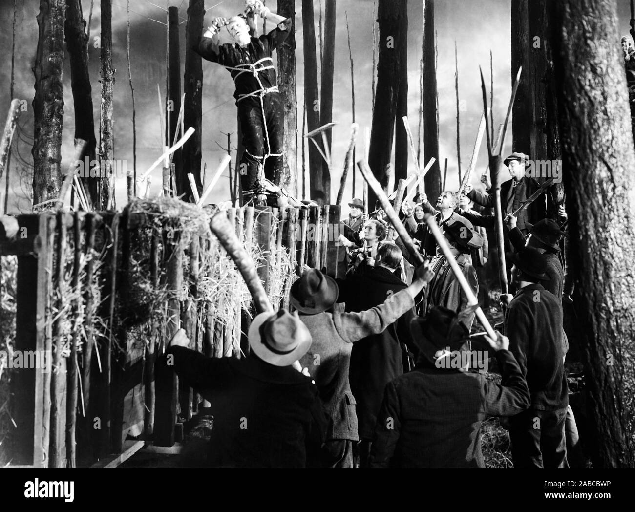 BRIDE OF FRANKENSTEIN, Boris Karloff, 1935 Stock Photo - Alamy