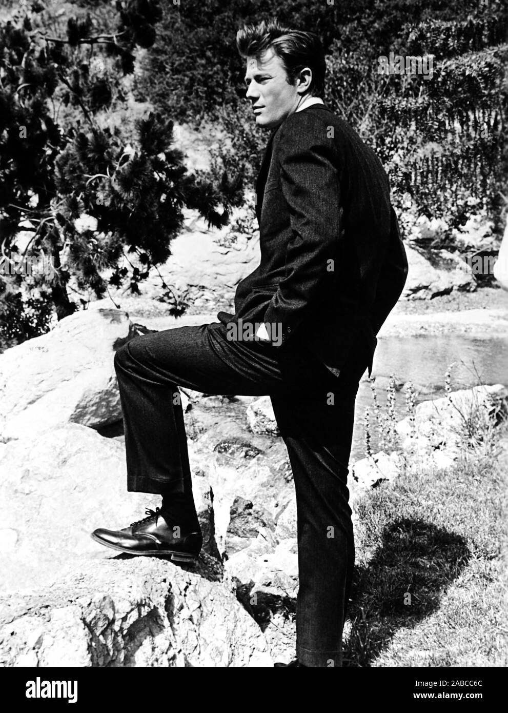 BUS RILEY'S BACK IN TOWN, Michael Parks, 1965 Stock Photo - Alamy