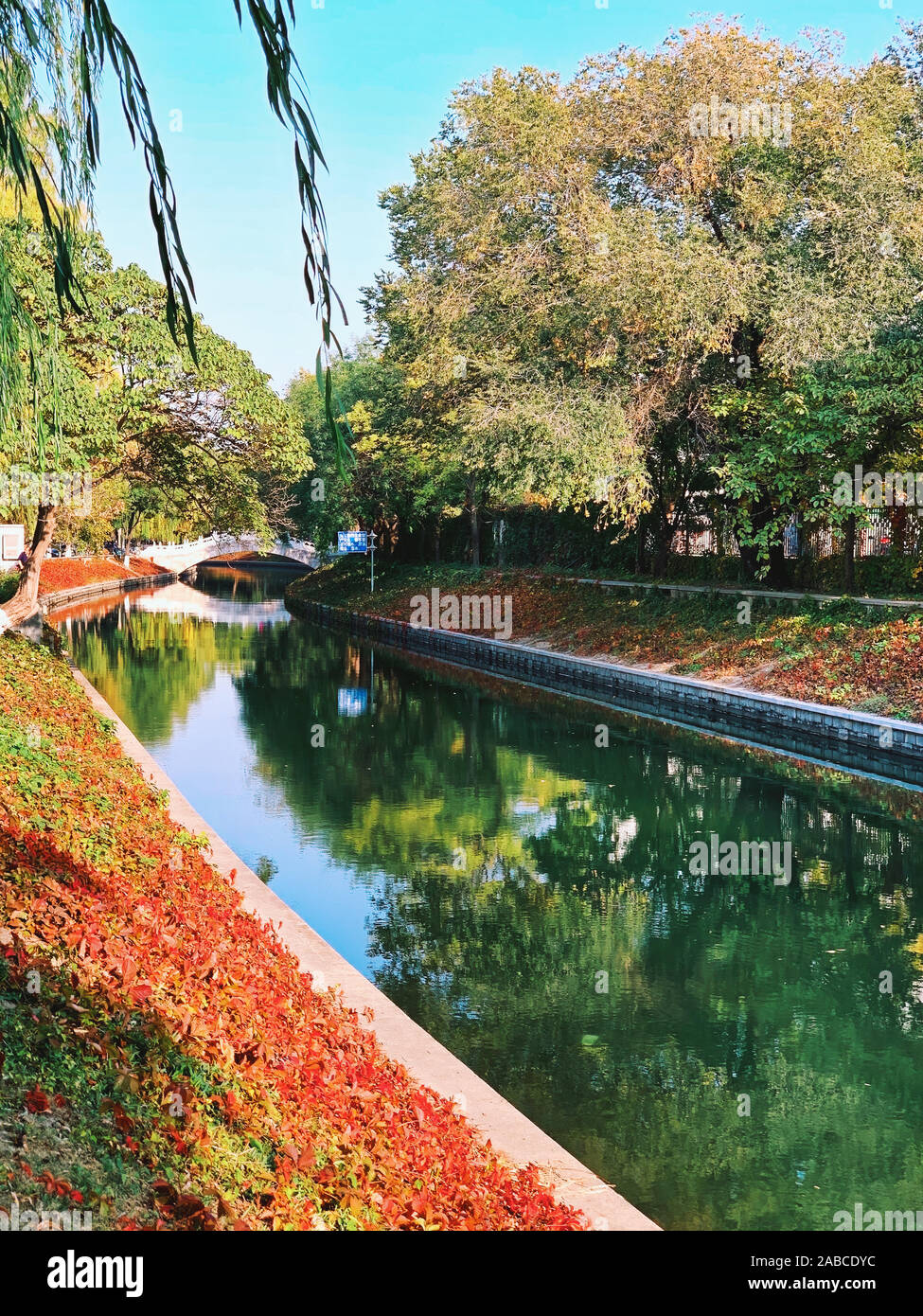 Leaves turning yellow and red as fall comes composes a wonderful part ...