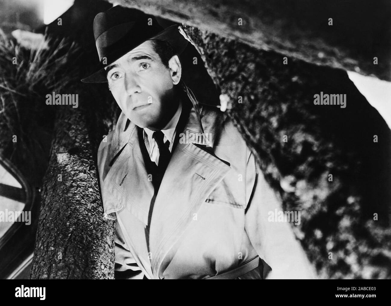 CONFLICT, Humphrey Bogart, 1945 Stock Photo - Alamy