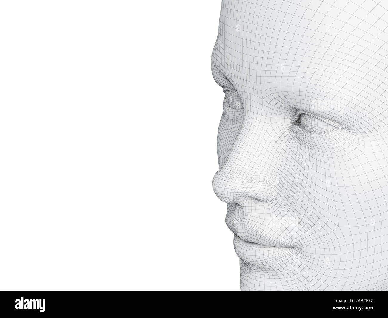 3d rendered medically accurate illustration of a female wireframe face ...