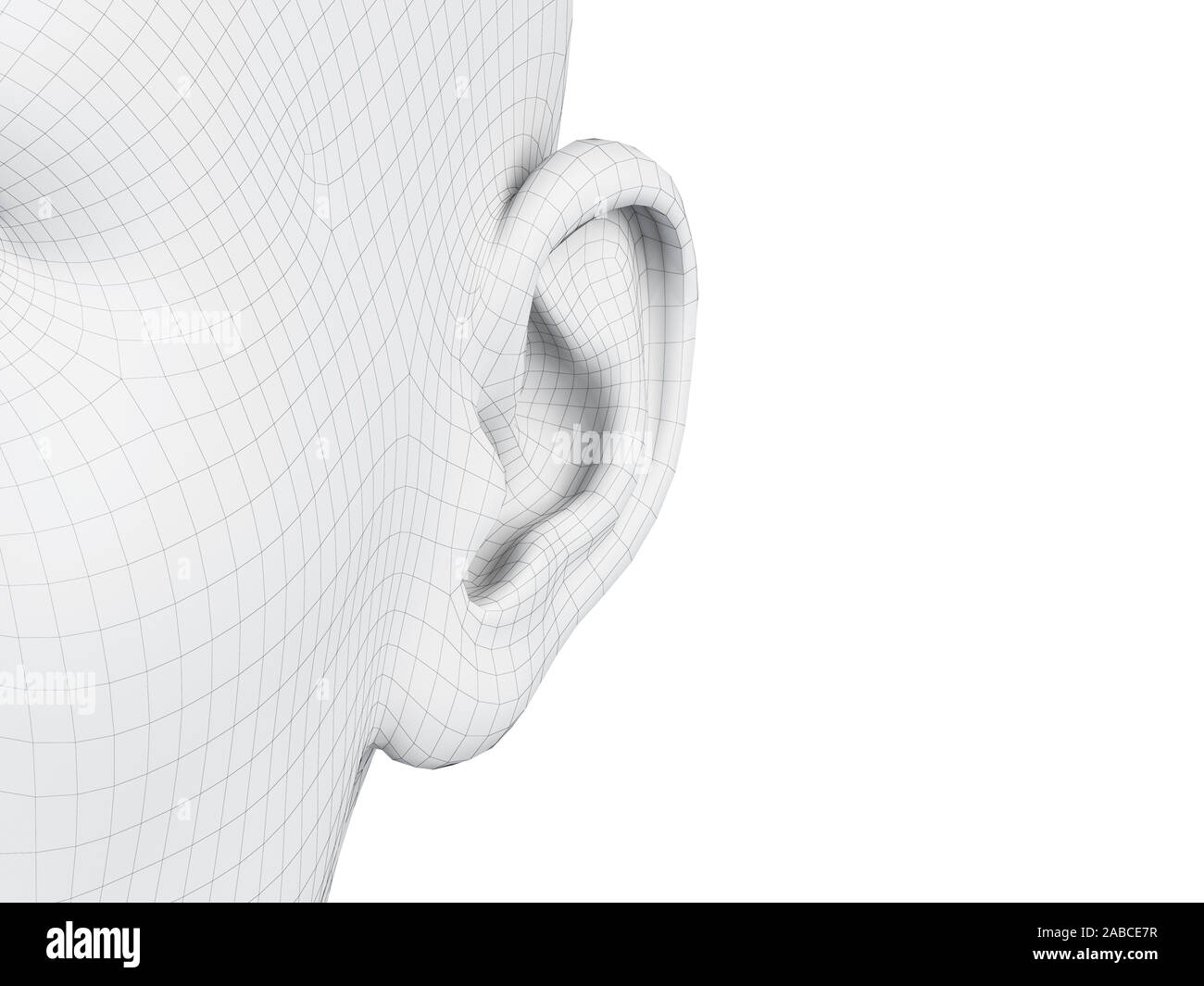 3d rendered medically accurate illustration of a wireframe ear Stock ...
