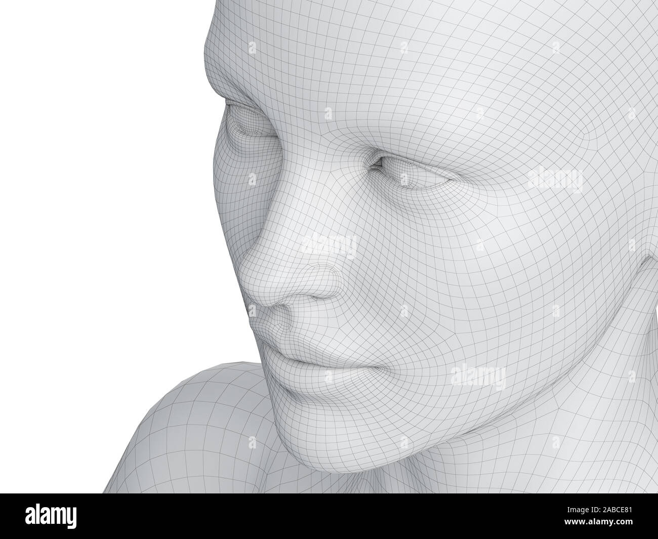 3d rendered medically accurate illustration of a female wireframe face ...