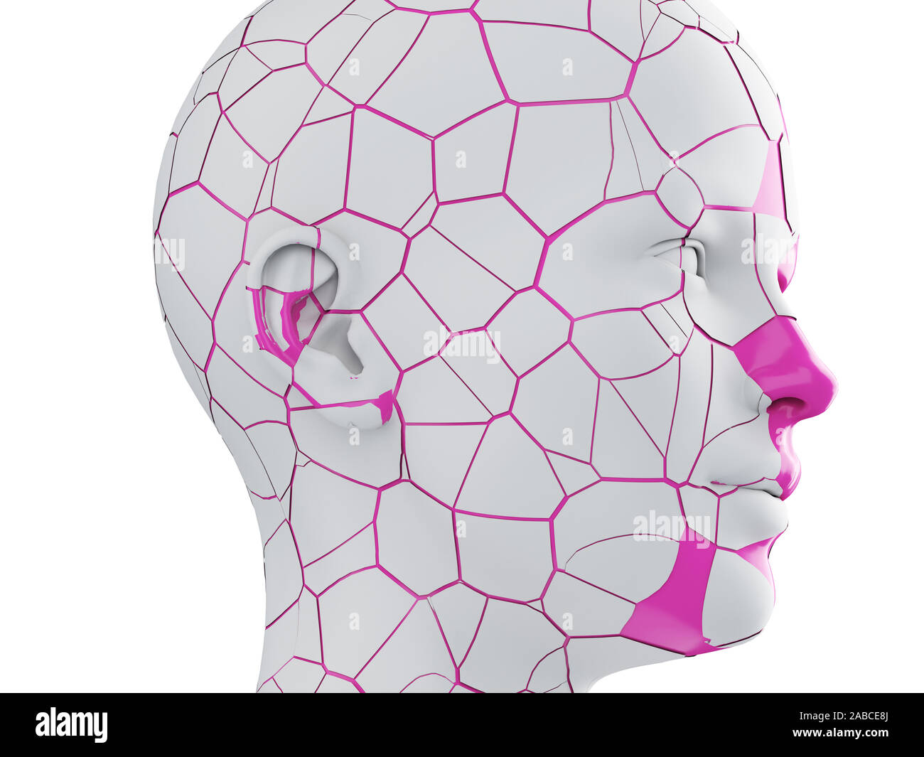 3d rendered medically accurate illustration of a cracked female face ...