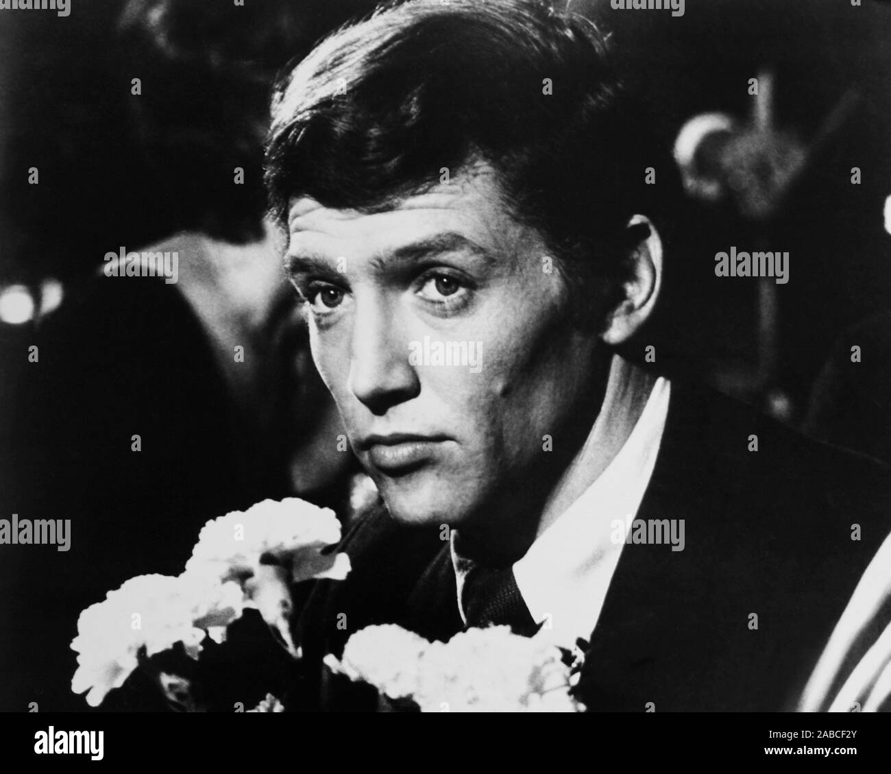 DADDY'S GONE A-HUNTING, Scott Hylands, 1969 Stock Photo - Alamy