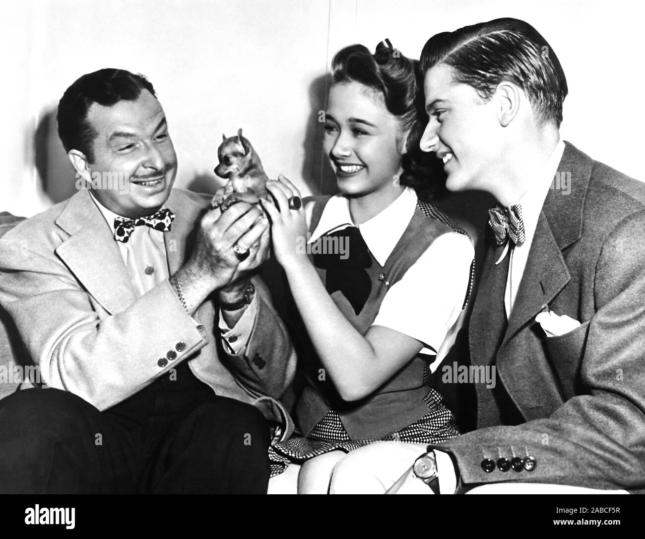 HOLIDAY IN MEXICO, from left: Xavier Cugat, Jane Powell, Roddy McDowall ...