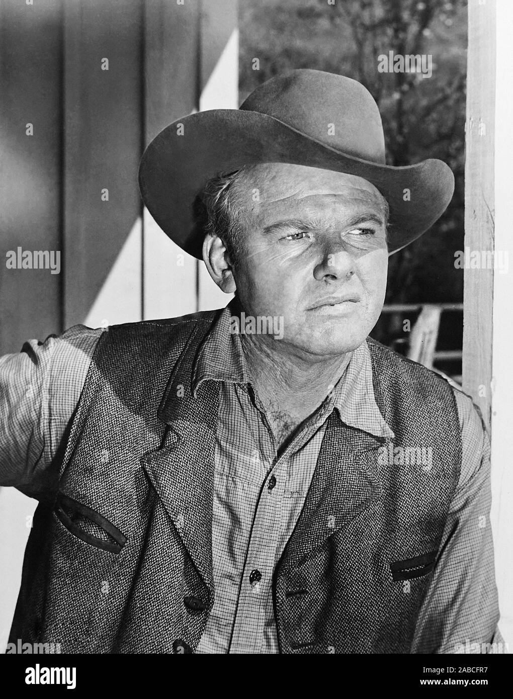 DESTRY, Alan Hale Jr., 1954 Stock Photo - Alamy