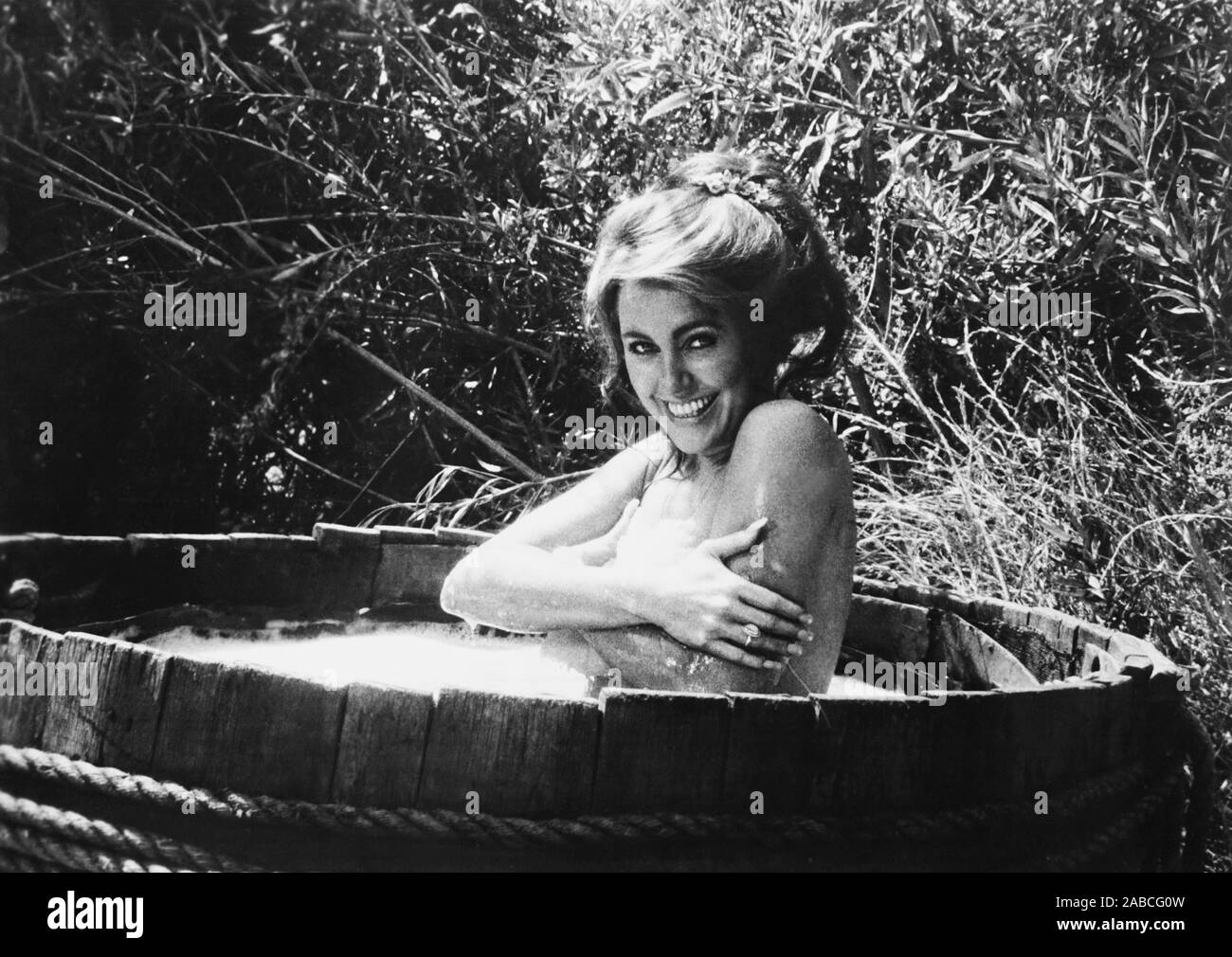 DIXIE DYNAMITE, Jane Anne Johnstone, 1976 Stock Photo - Alamy