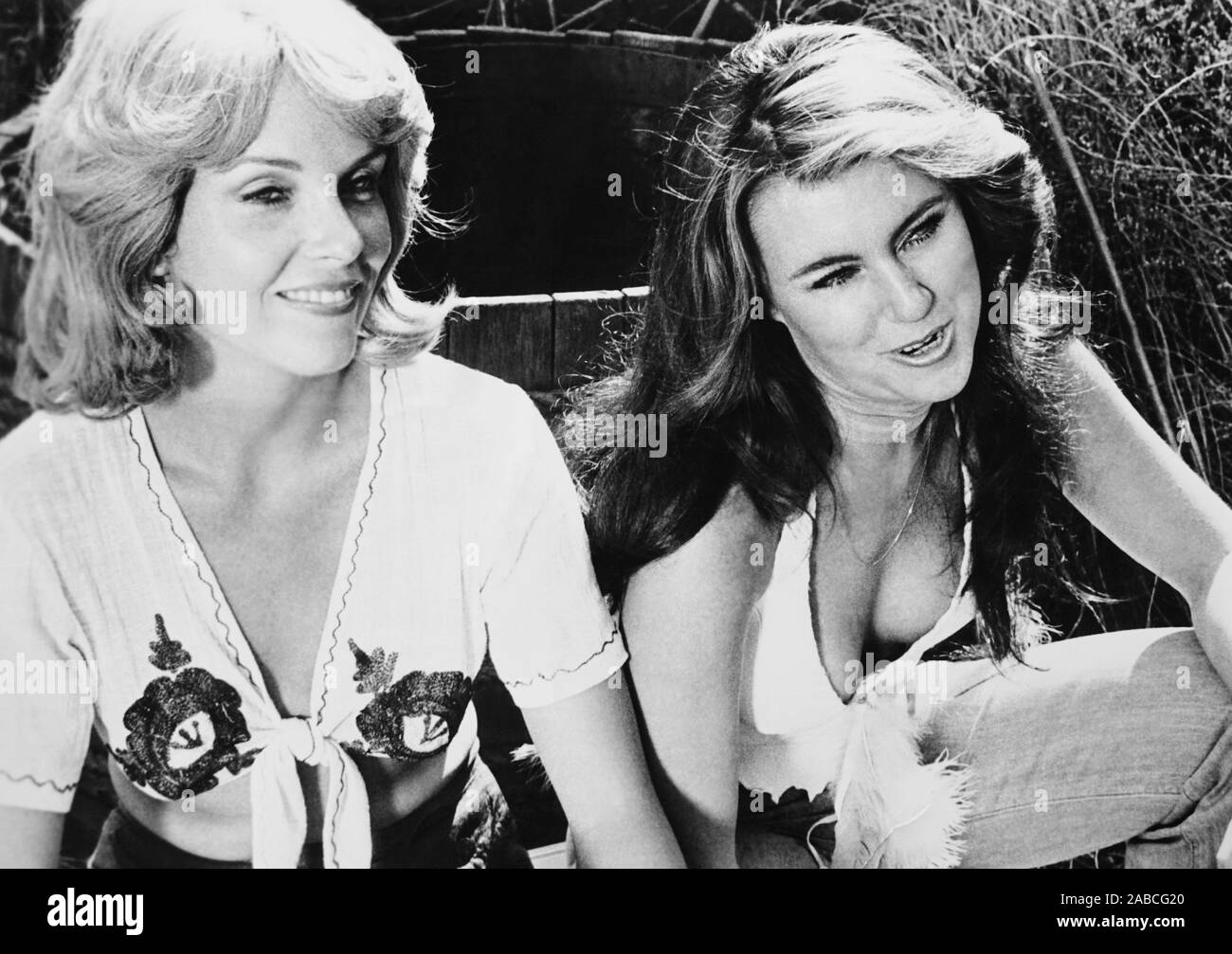 DIXIE DYNAMITE, from left: Kathy McHaley, Jane Anne Johnstone, 1976 Stock Photo - Alamy