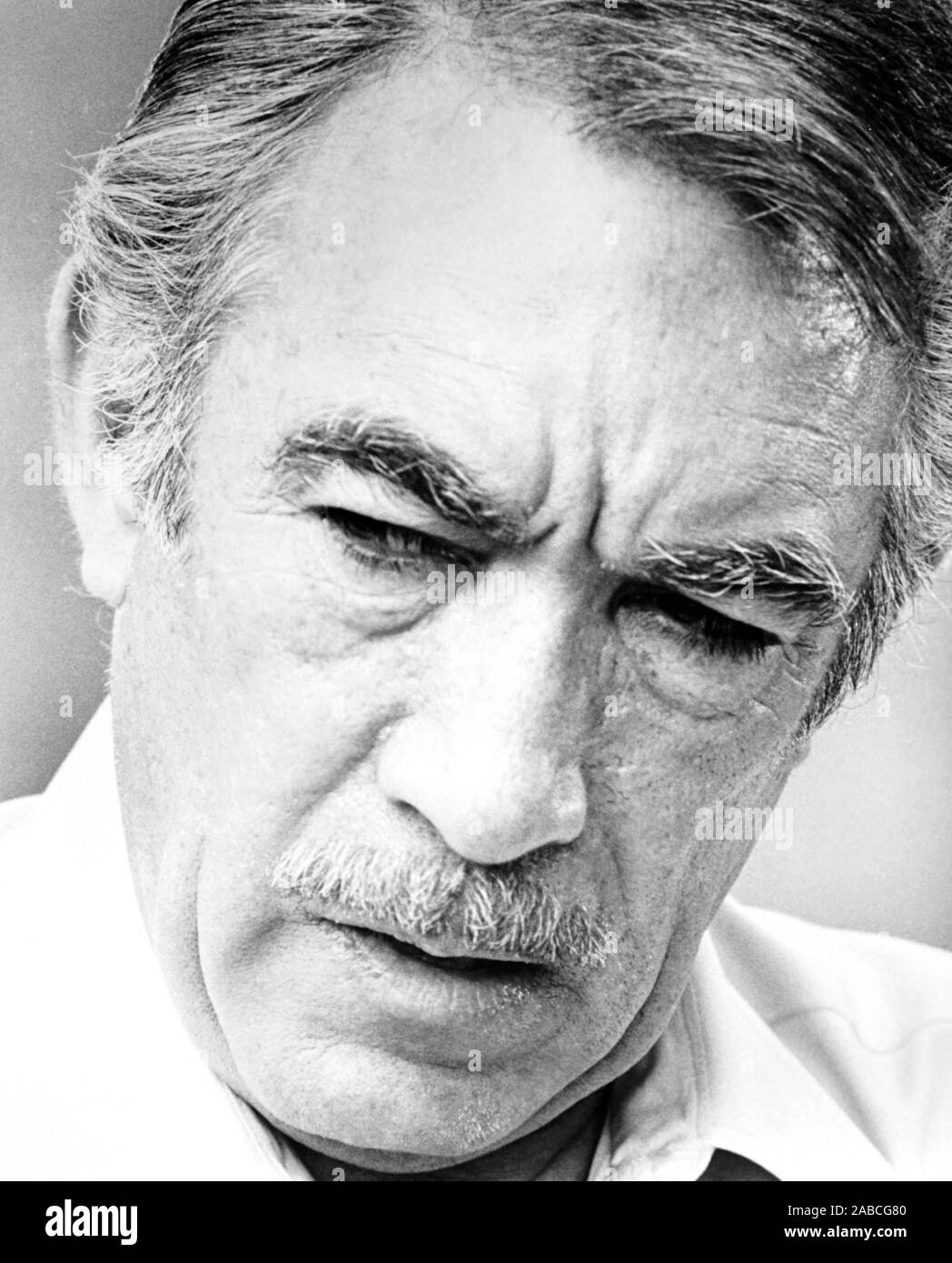 THE DON IS DEAD, Anthony Quinn, 1973 Stock Photo - Alamy