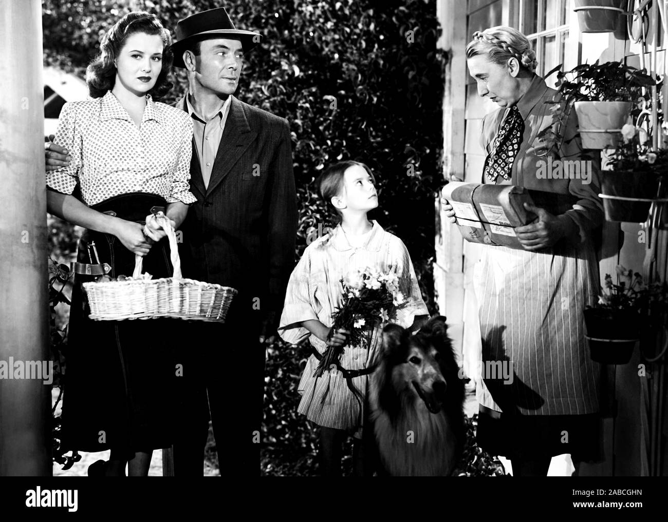 Driftwood 1947 natalie hi-res stock photography and images - Alamy