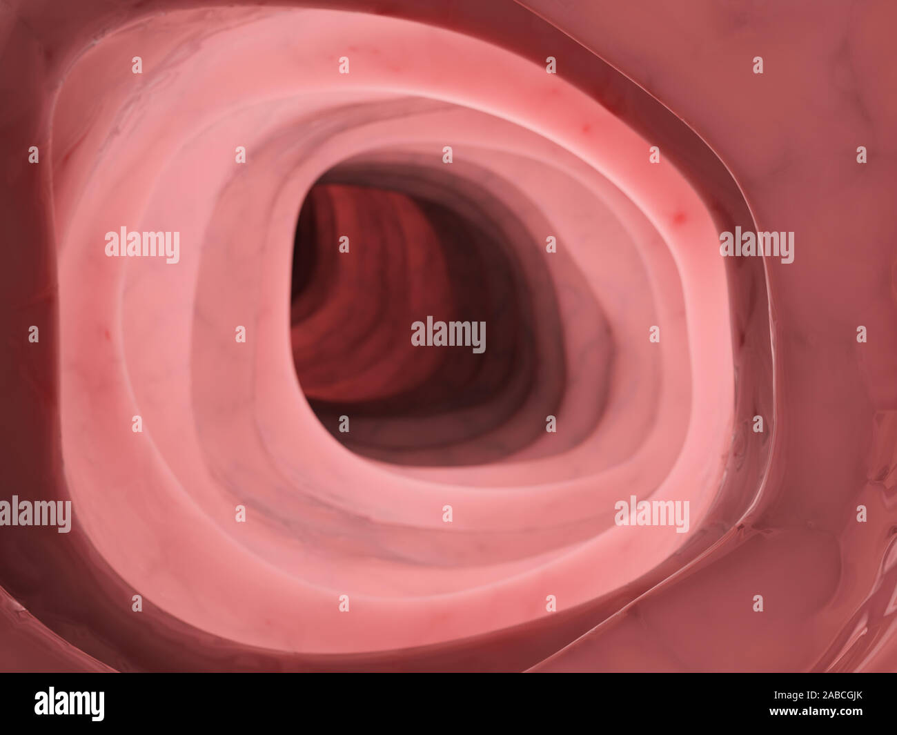 Guts Anatomy High Resolution Stock Photography and Images - Alamy