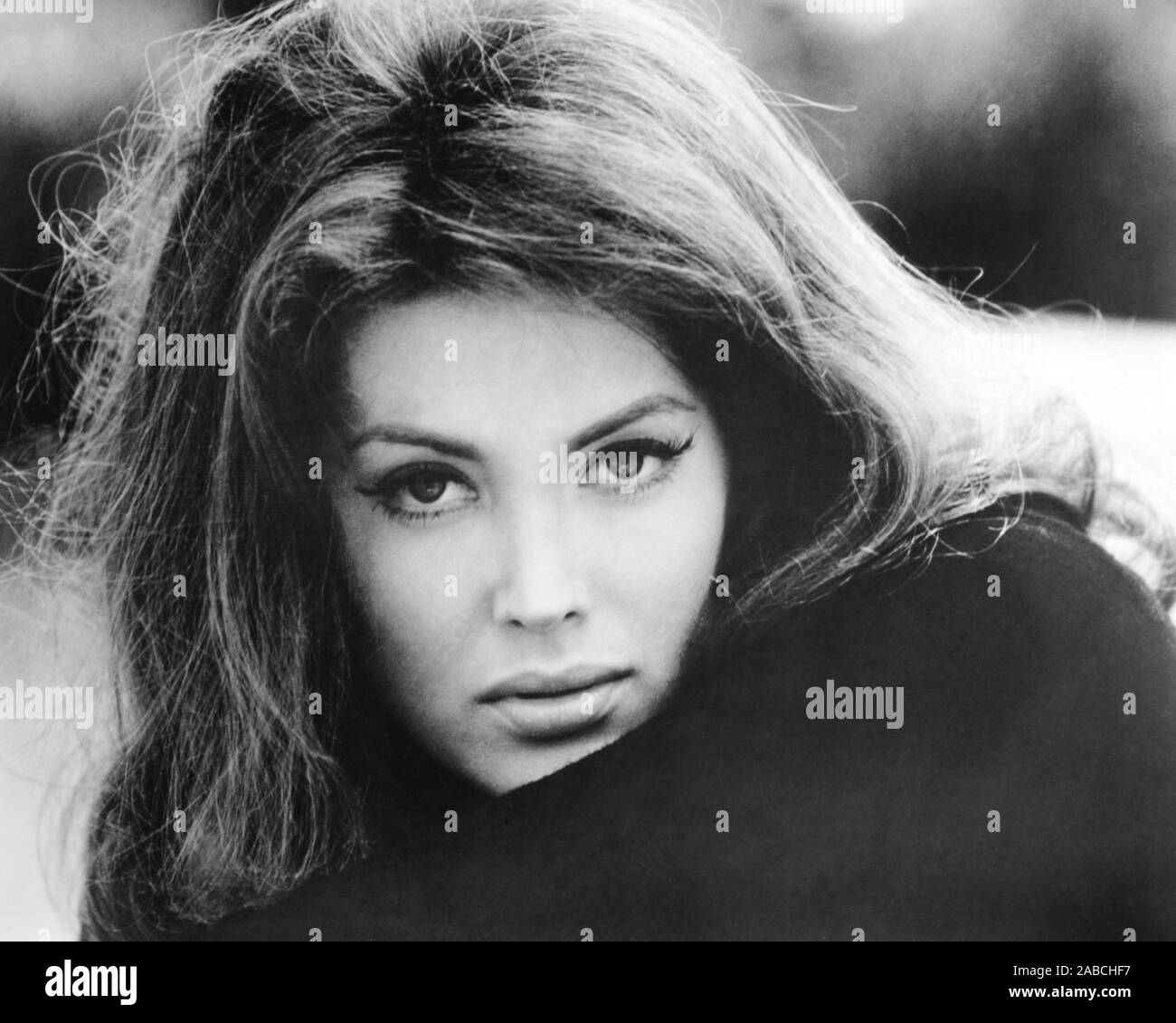 EYE OF THE CAT, Gayle Hunnicutt, 1969 Stock Photo - Alamy