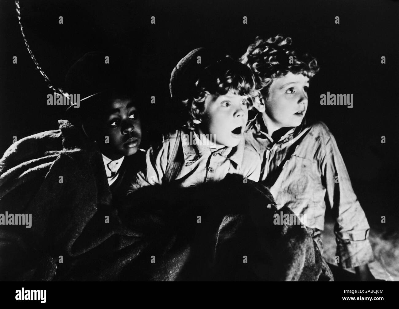 Matthew Stymie Beard