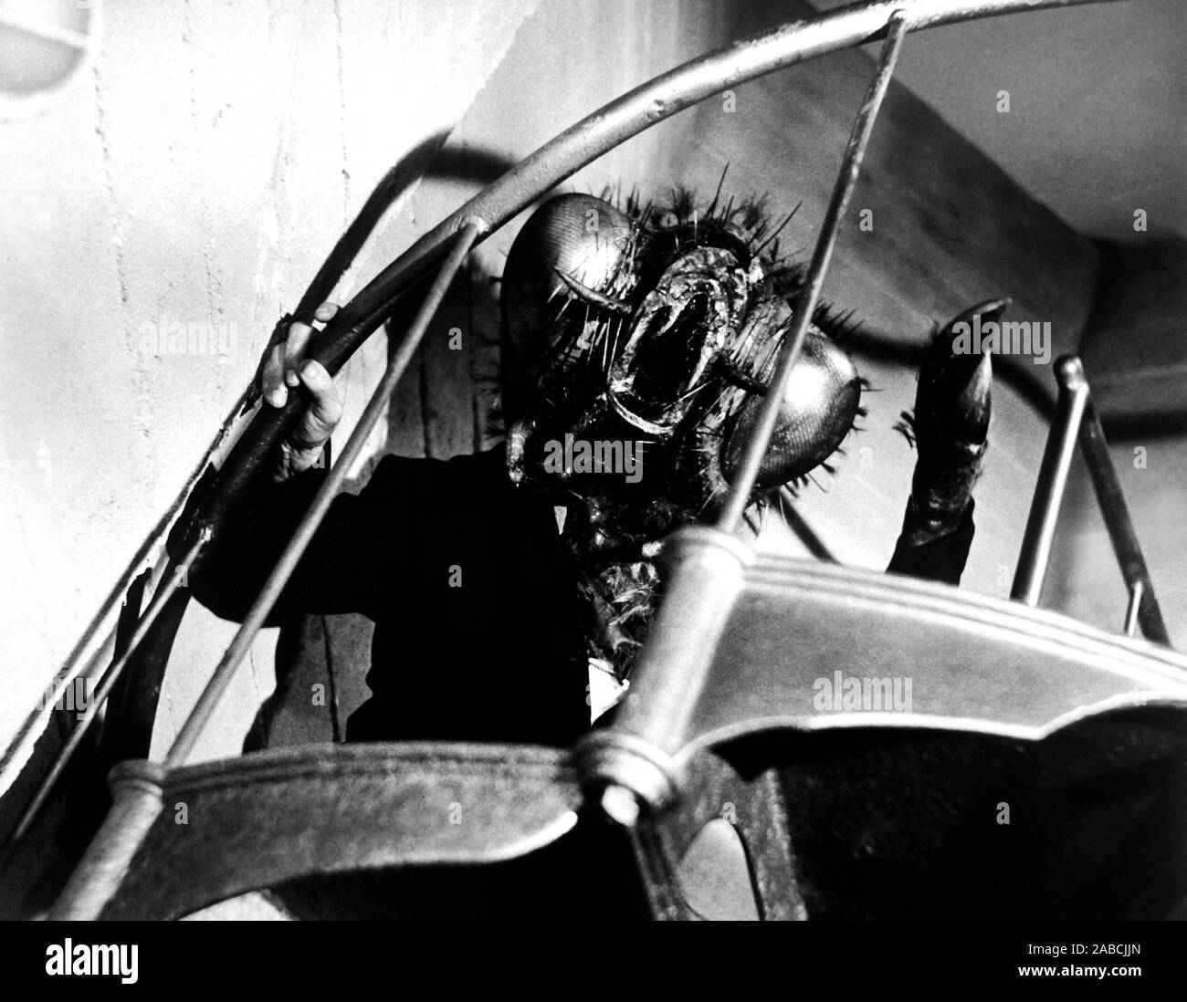 THE FLY, Ed Wolff, 1958, TM and Copyright ©20th Century Fox Film Corp ...