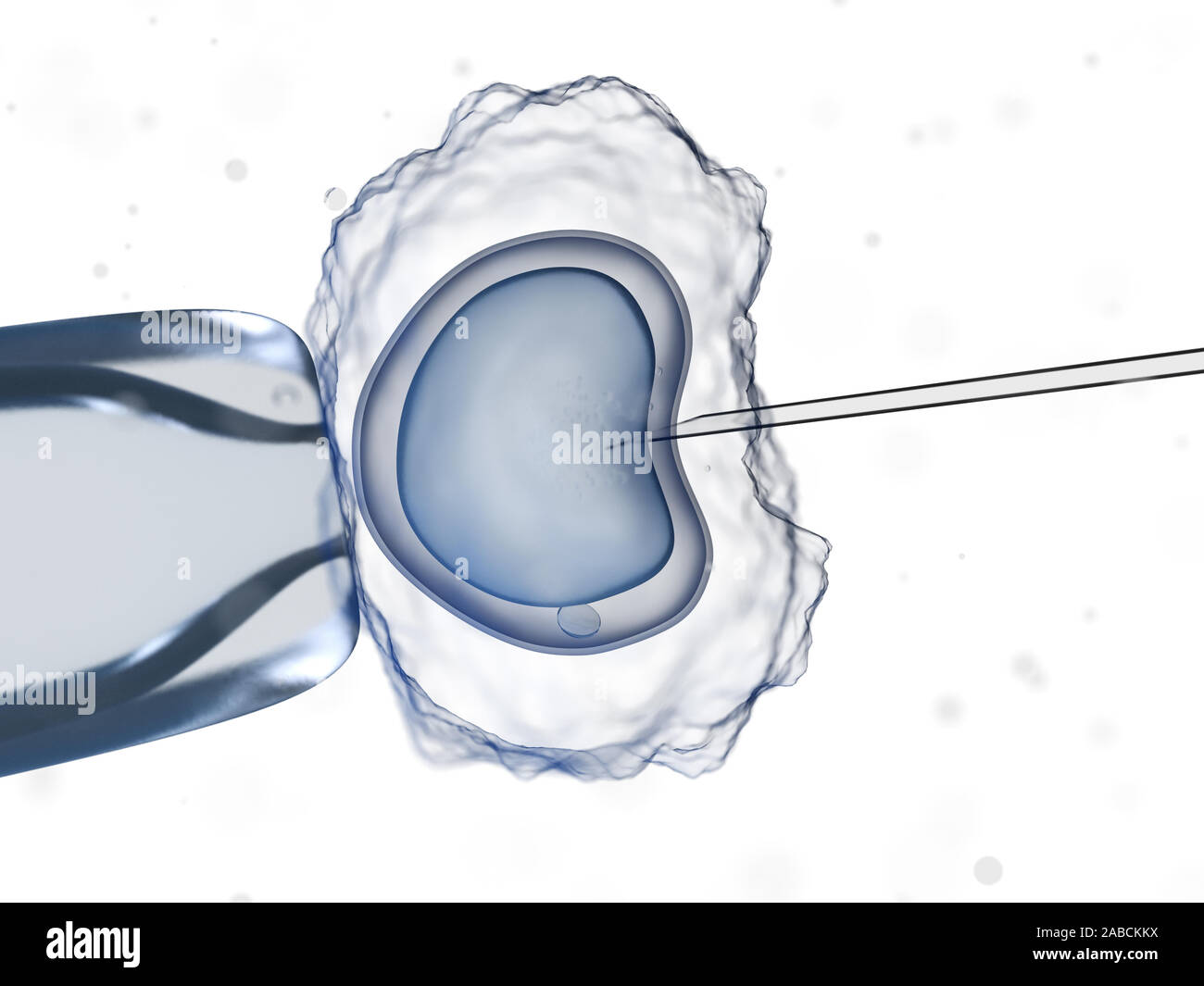 3d rendered medically accurate illustration of an invitro fertilization ...