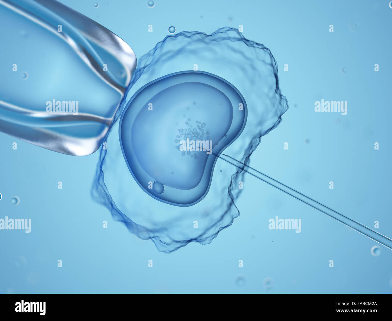 3d rendered medically accurate illustration of an invitro fertilization ...