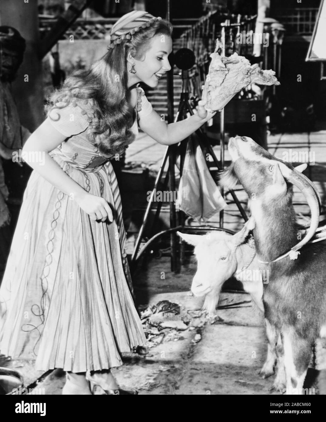 THE GOLDEN BLADE, Piper Laurie and friends on set, 1953 Stock Photo - Alamy
