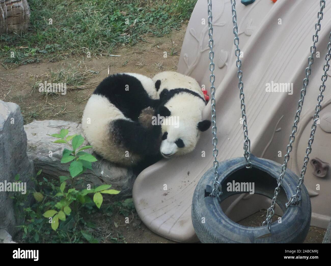 Twin sisters hugging hi-res stock photography and images - Alamy
