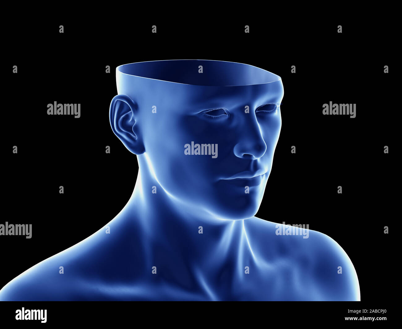 3d rendered medically accurate illustration of a cut open head Stock ...