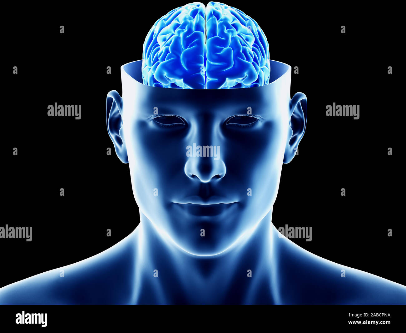 3d rendered medically accurate illustration of a brain in an open head ...