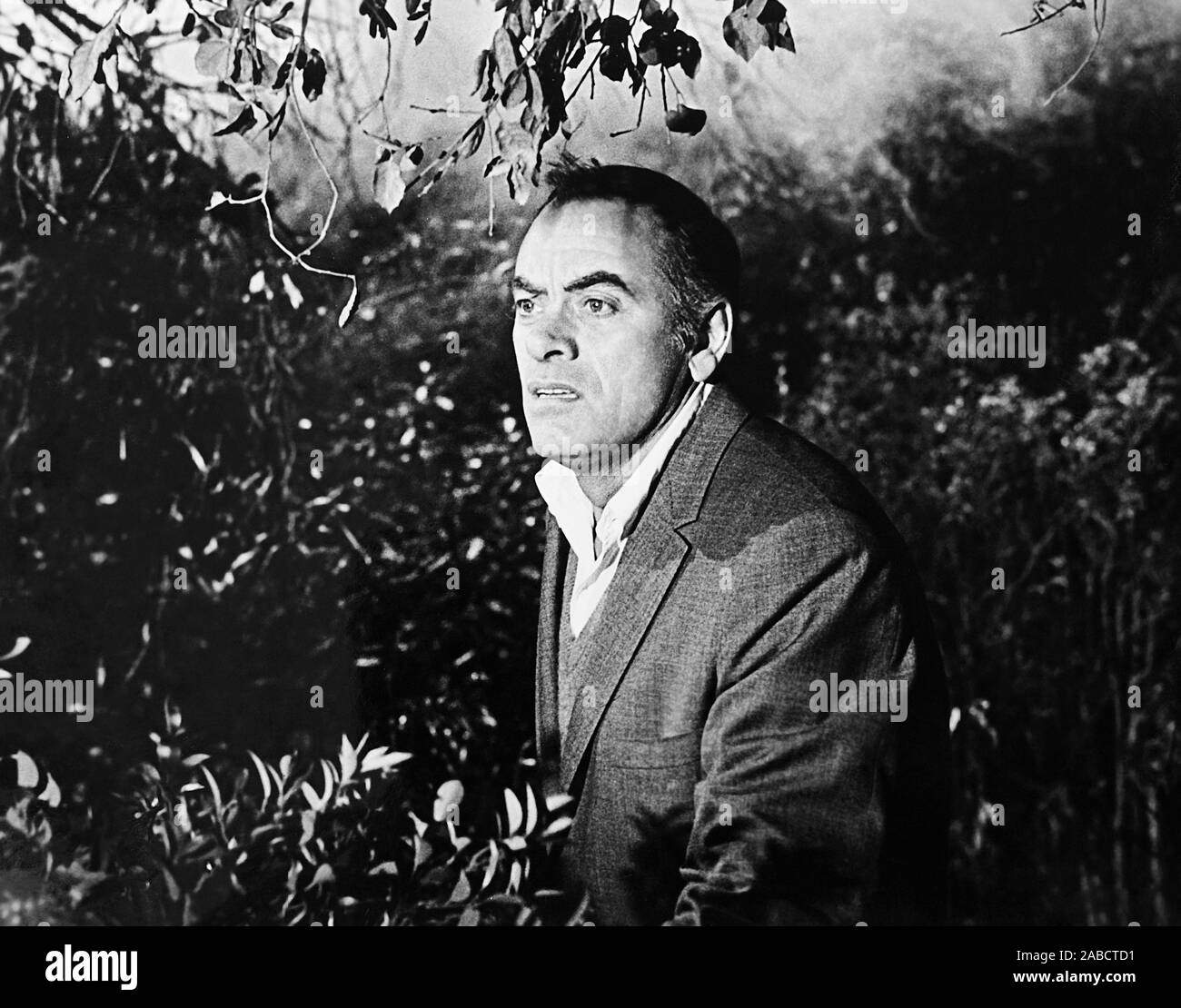 I SAW WHAT YOU DID, John Ireland, 1965 Stock Photo - Alamy