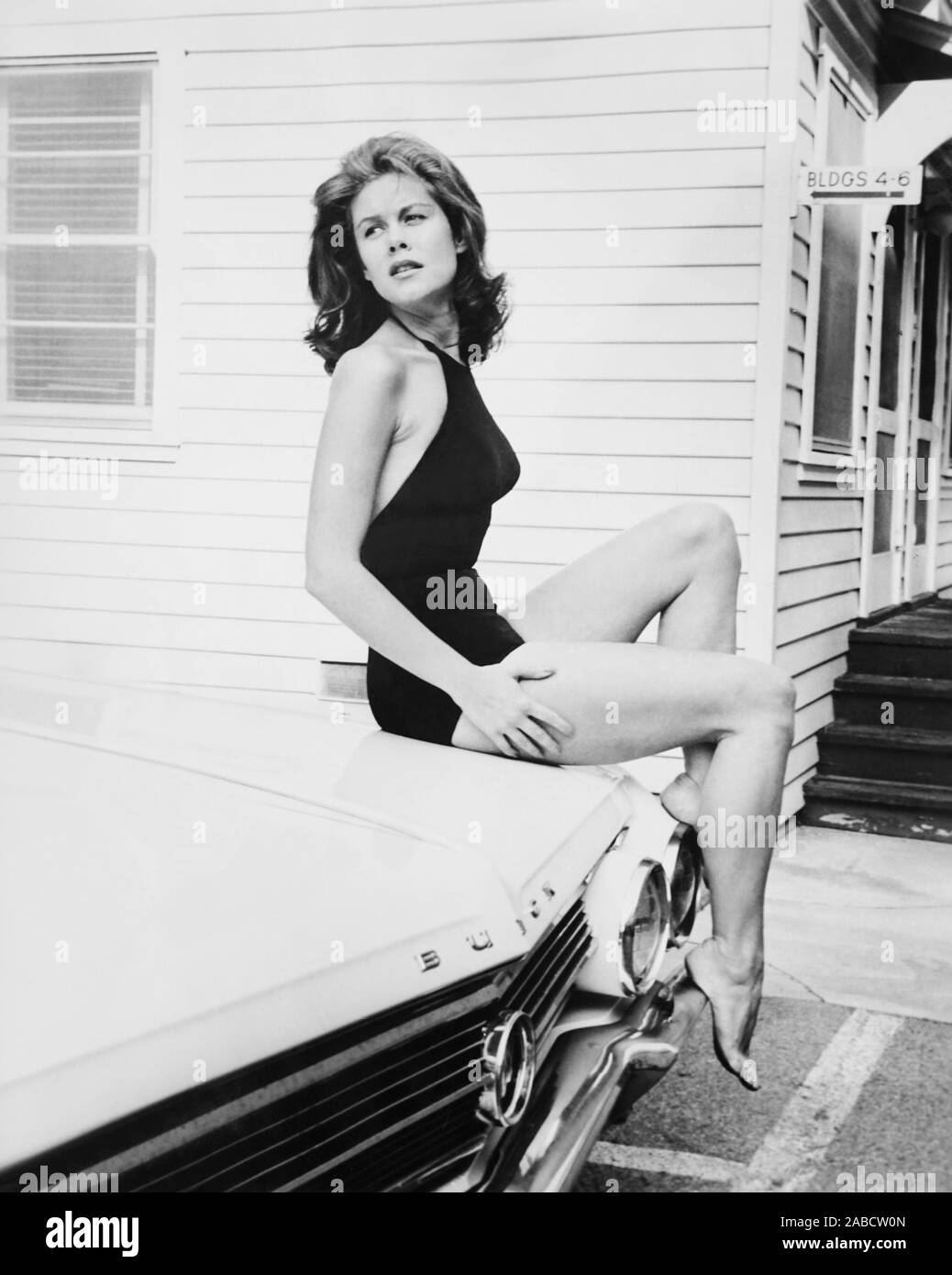 JOHNNY COOL, elizabeth Montgomery, 1963 Stock Photo - Alamy