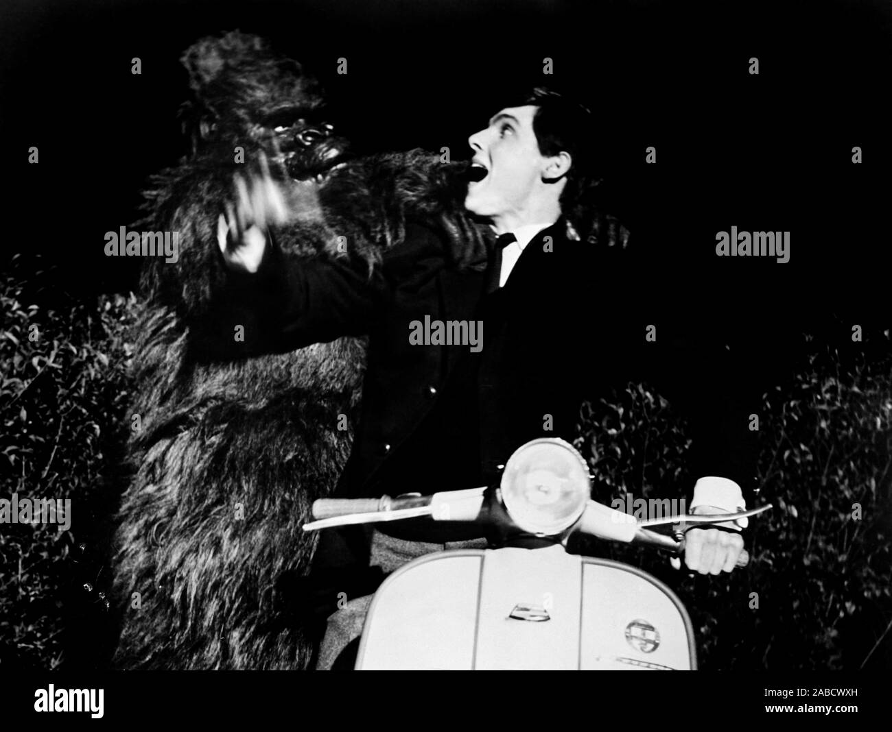 KONGA, from left, Paul Stockman, Jess Conrad, 1961 Stock Photo - Alamy