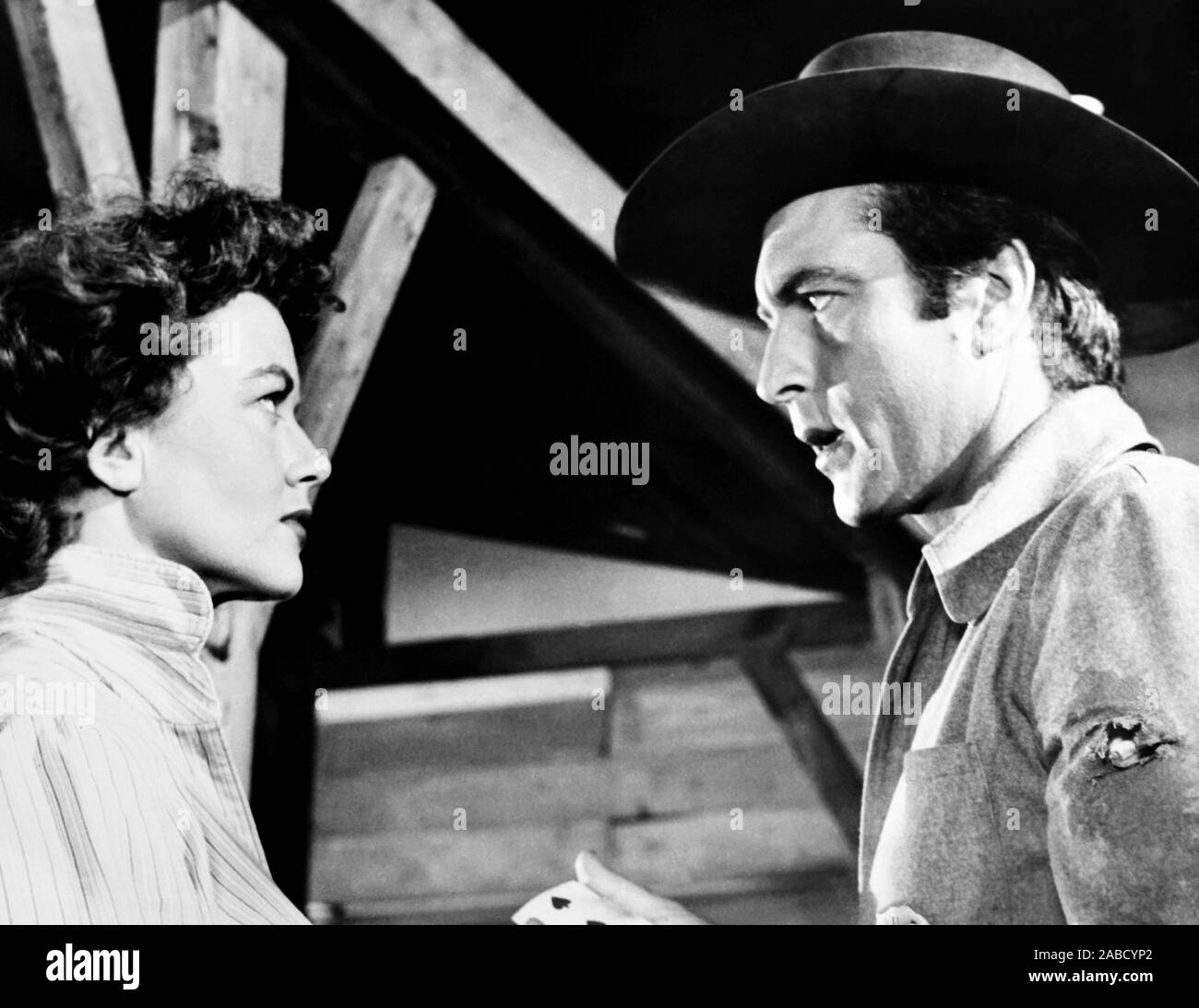 THE LONE GUN, from left, Dorothy Malone, George Montgomery, 1954 Stock ...
