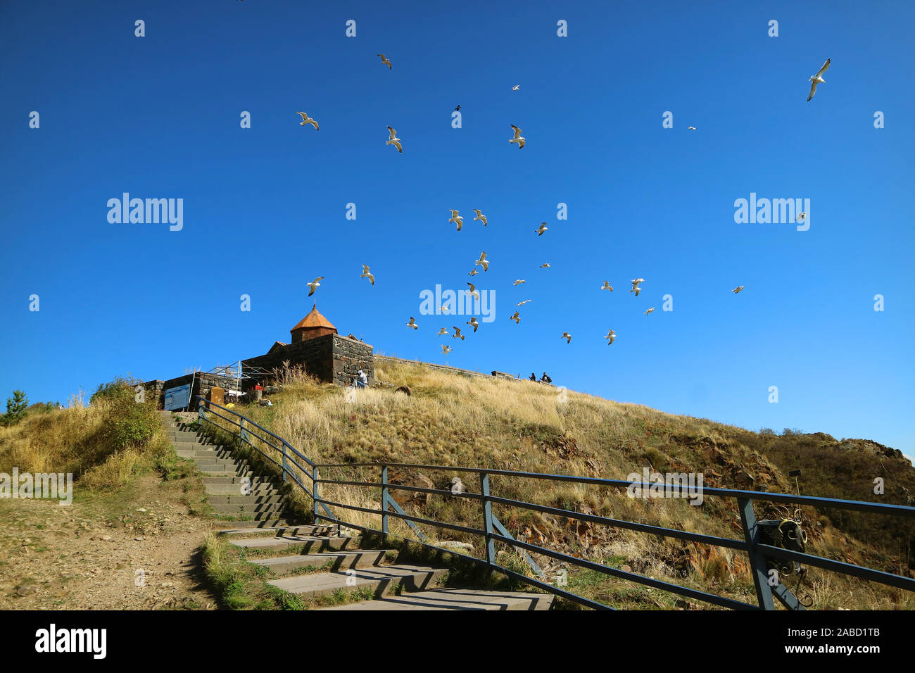 Stairs Leading to Sevanavank Monastery and a Large Group of Flying Seagulls in Blue Sky, Sevan ...