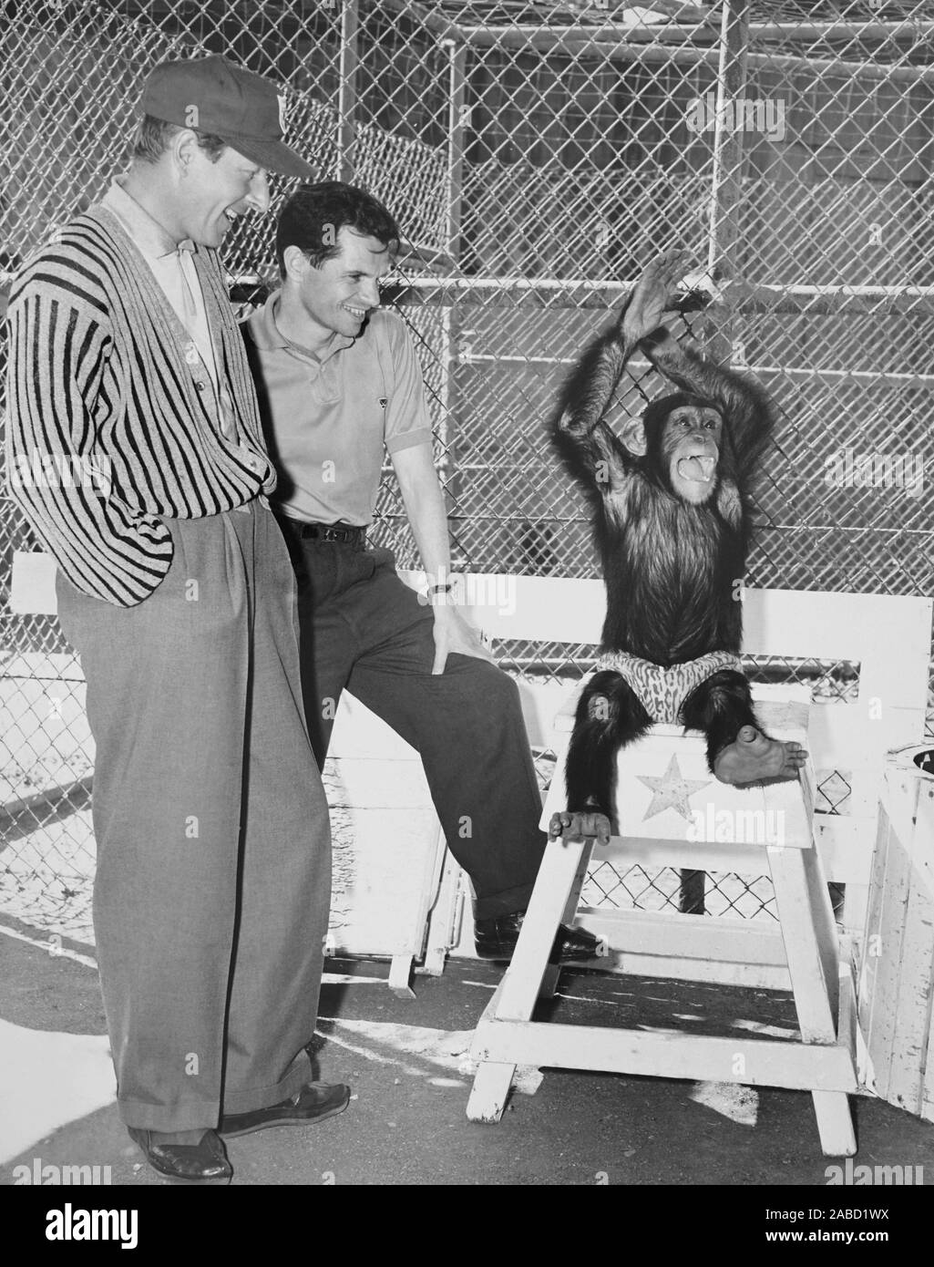 MERRY ANDREW, from left: Danny Kaye, director Michael Kidd and friend ...