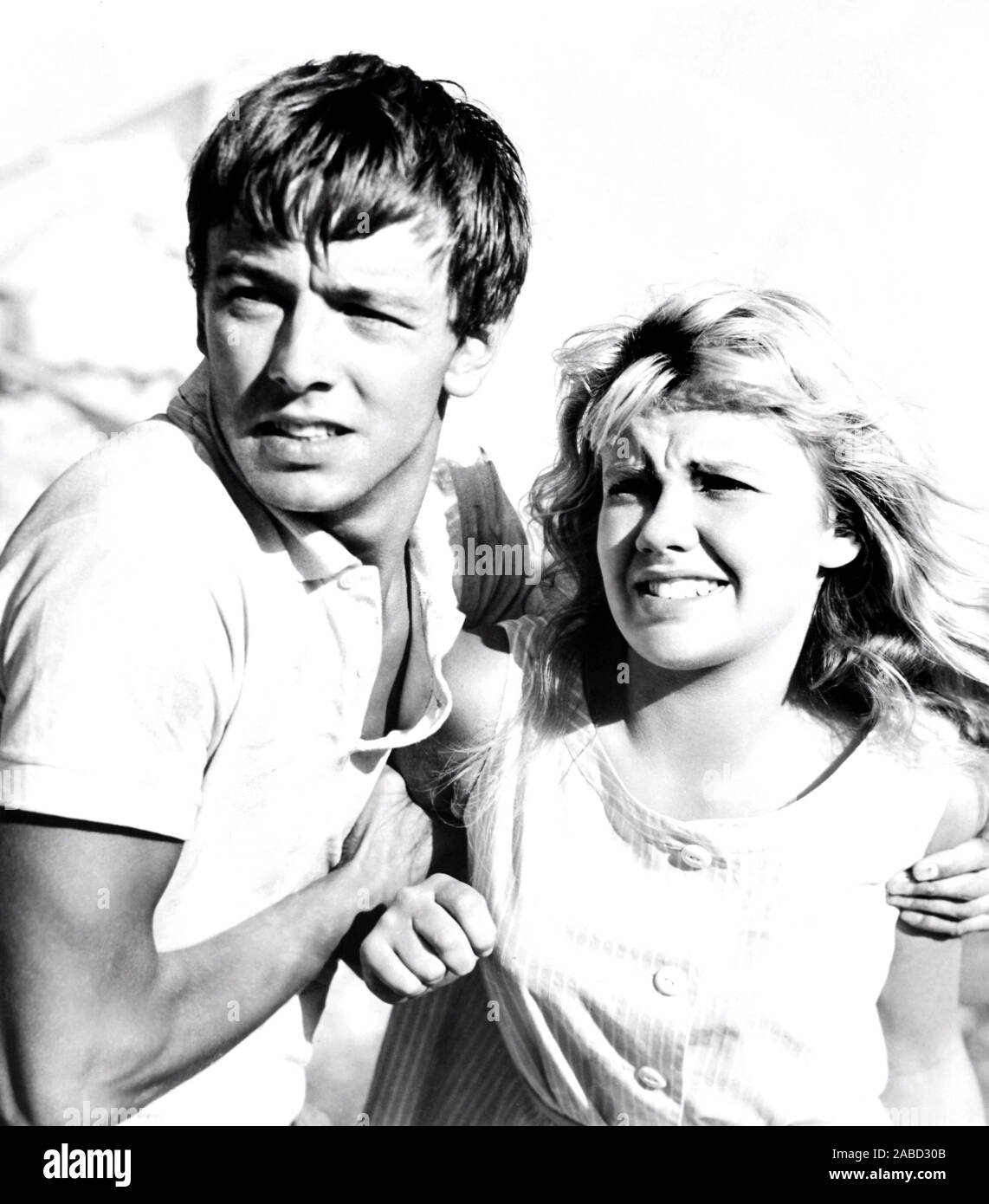 The moon spinners hi-res stock photography and images - Alamy