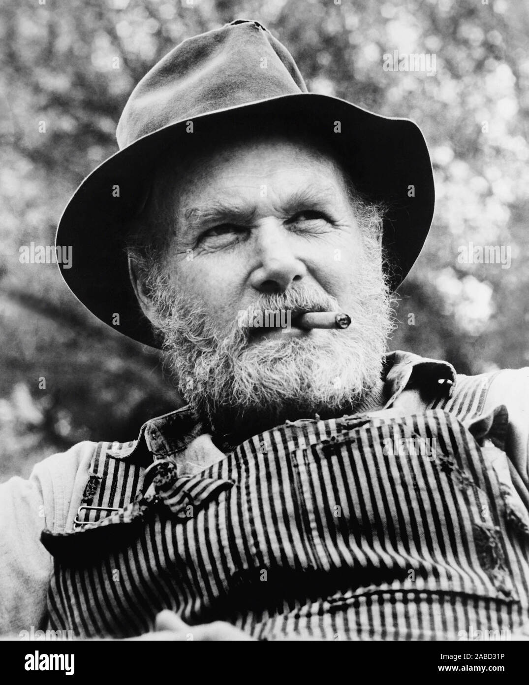 THE MOONSHINE WAR, Harry Carey Jr., 1970 Stock Photo - Alamy