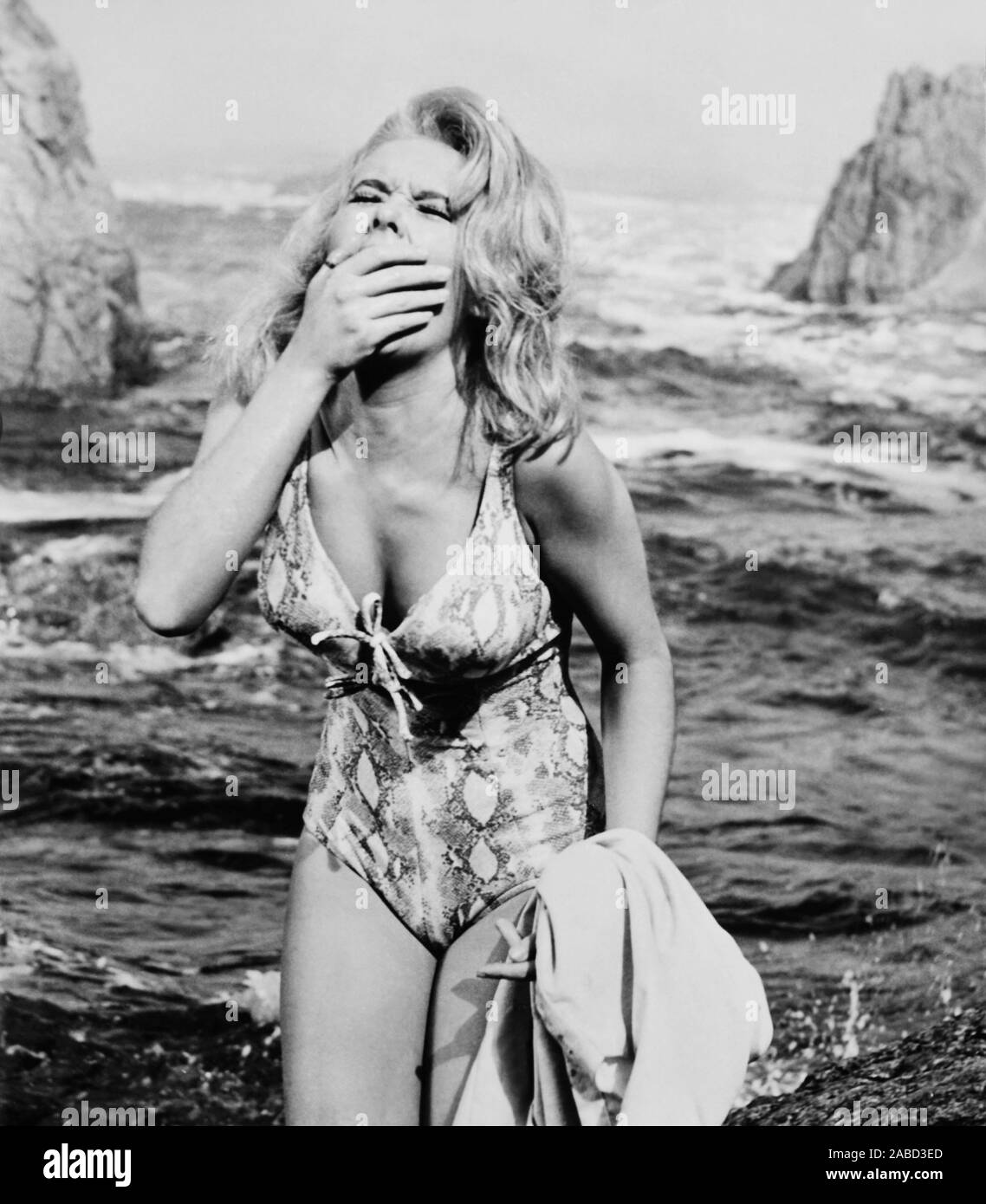 MY BLOOD RUNS COLD, Joey Heatherton, 1965 Stock Photo - Alamy MY BLOOD RUNS COLD, Joey Heatherton, 1965 Stock Photo - Alamy