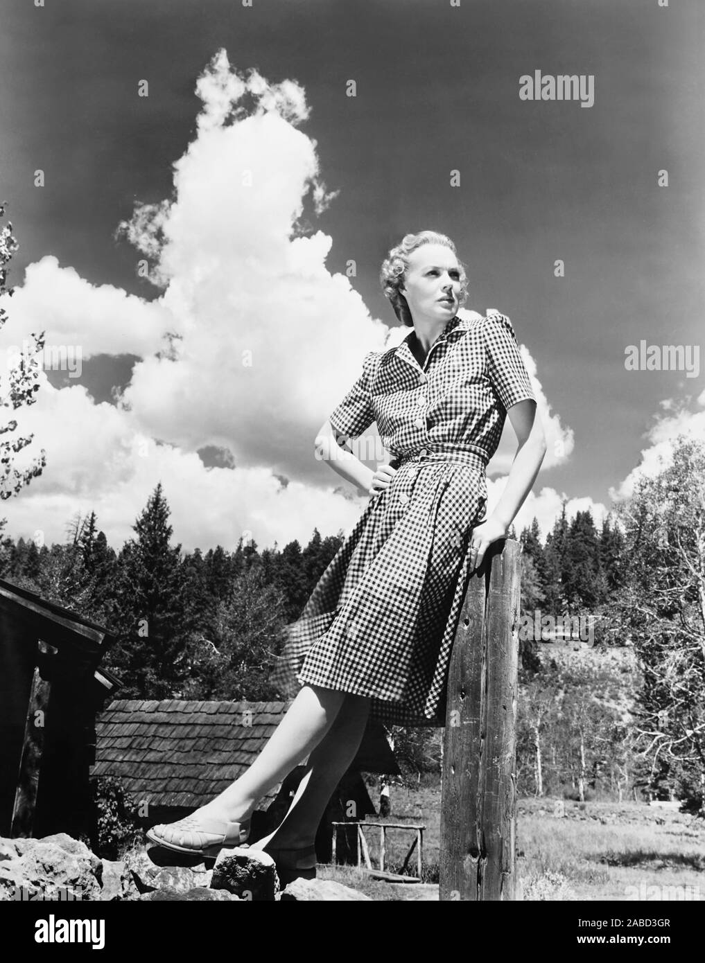 MY FRIEND FLICKA, Rita Johnson, 1943, TM & Copyright © 20th Century Fox ...