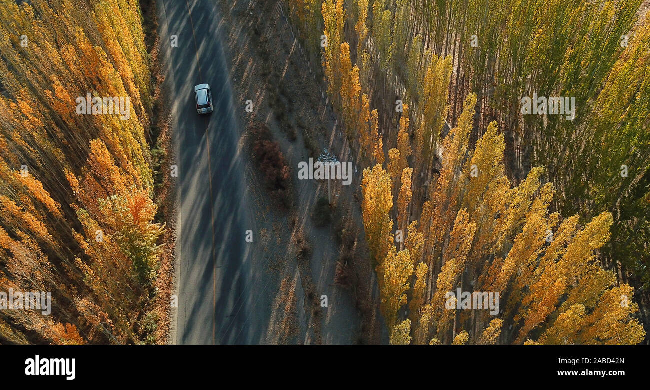 Aerial view of the trees in Heshuo county, Bayingol Mongolian ...
