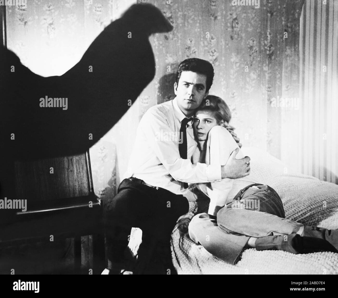 THE PROJECTED MAN, from left: Ronald Allen, Mary Peach, 1967 Stock ... THE PROJECTED MAN, from left: Ronald Allen, Mary Peach, 1967 Stock ...