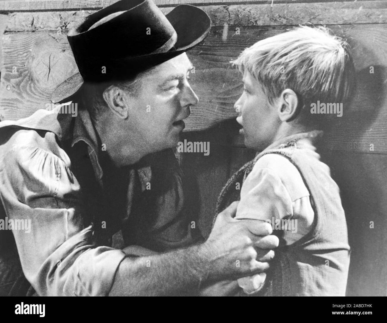 THE PROUD REBEL, from left, Alan Ladd, David Ladd, 1958 Stock Photo - Alamy