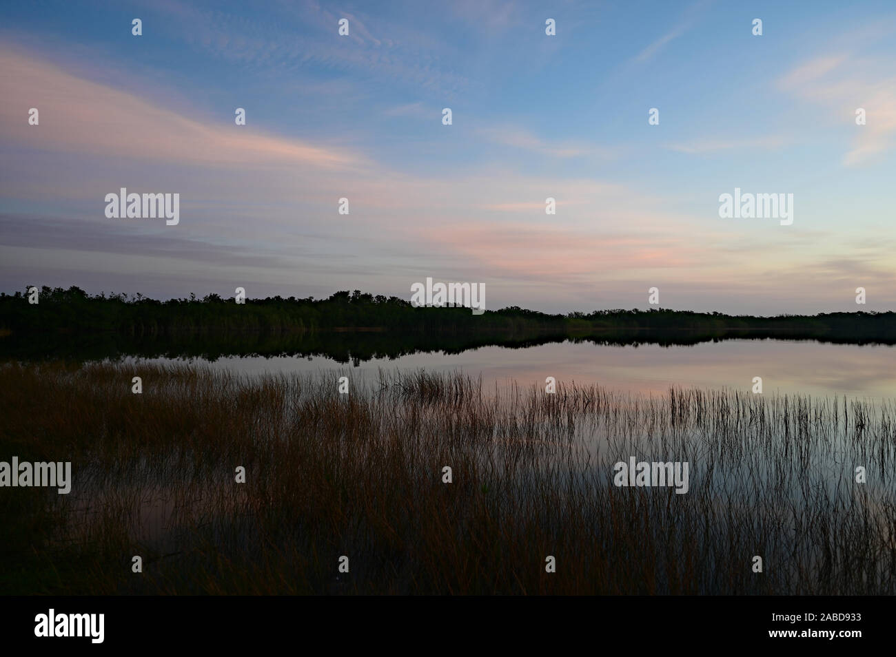 Sunrise cloudscape reflected on calm water of Nine Mile Pond in ...