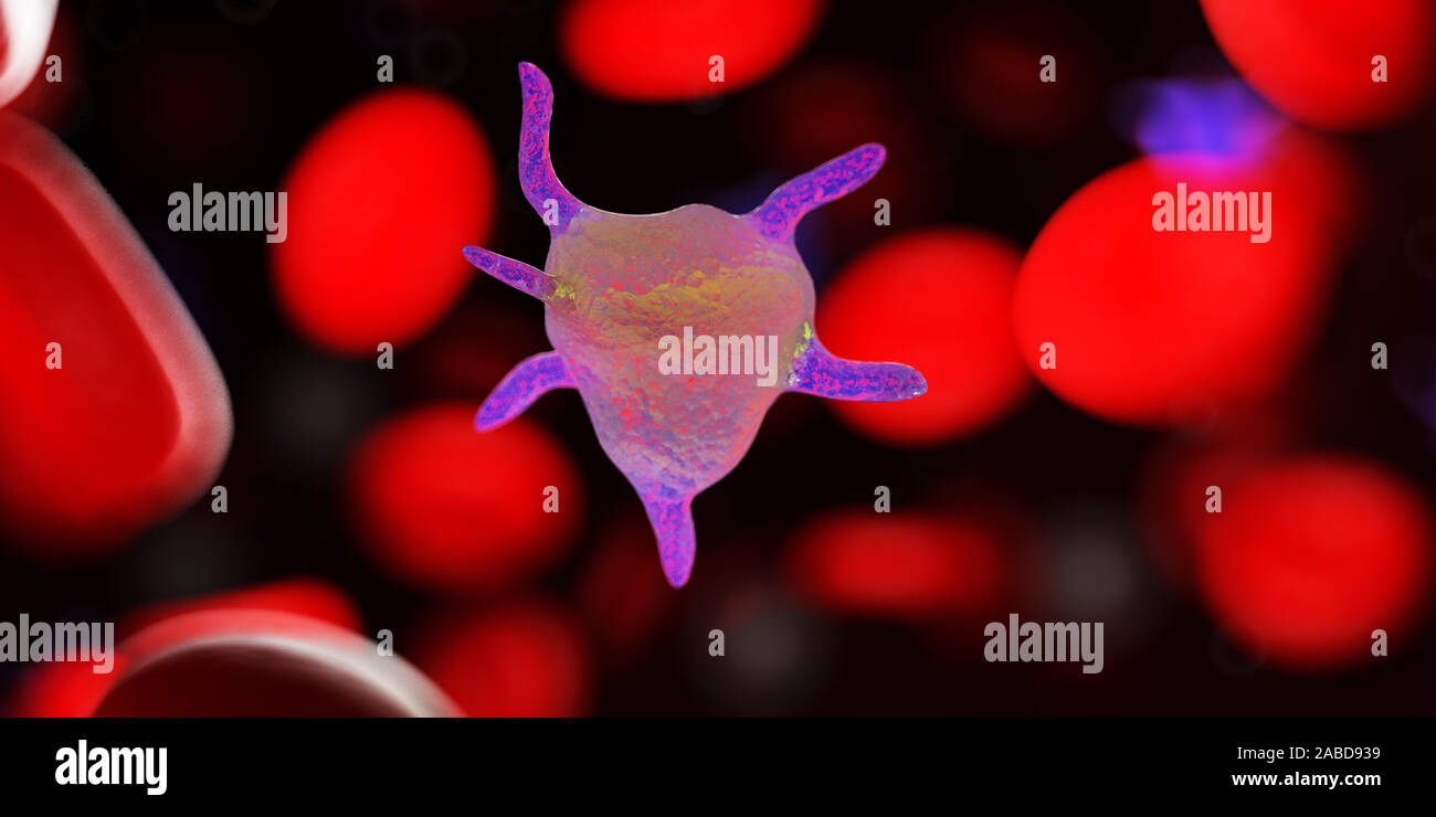 Platelet microscope hi-res stock photography and images - Alamy