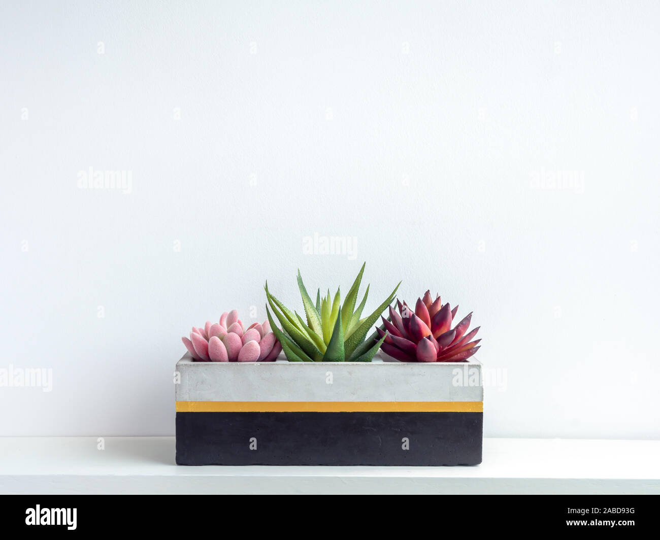 Cactus pot. Beautiful painted concrete pot. Green, red and pink ...