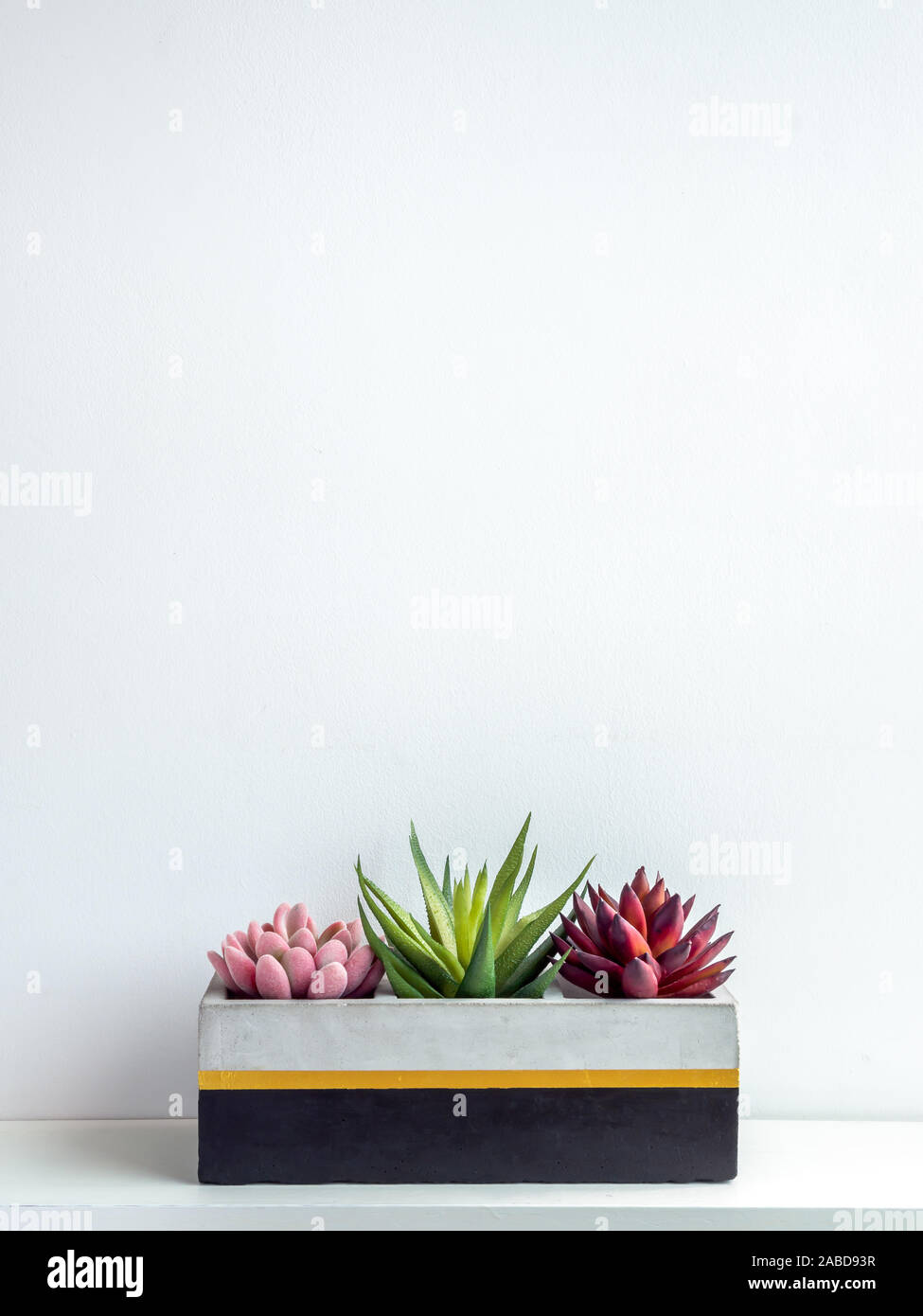Cactus pot. Beautiful painted concrete pot. Green, red and pink ...