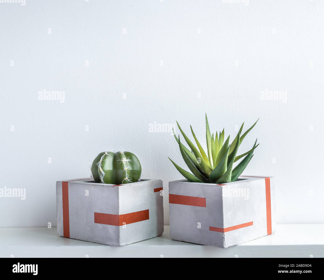 Cactus pot. Beautiful painted concrete pot. green cactus and succulent ...