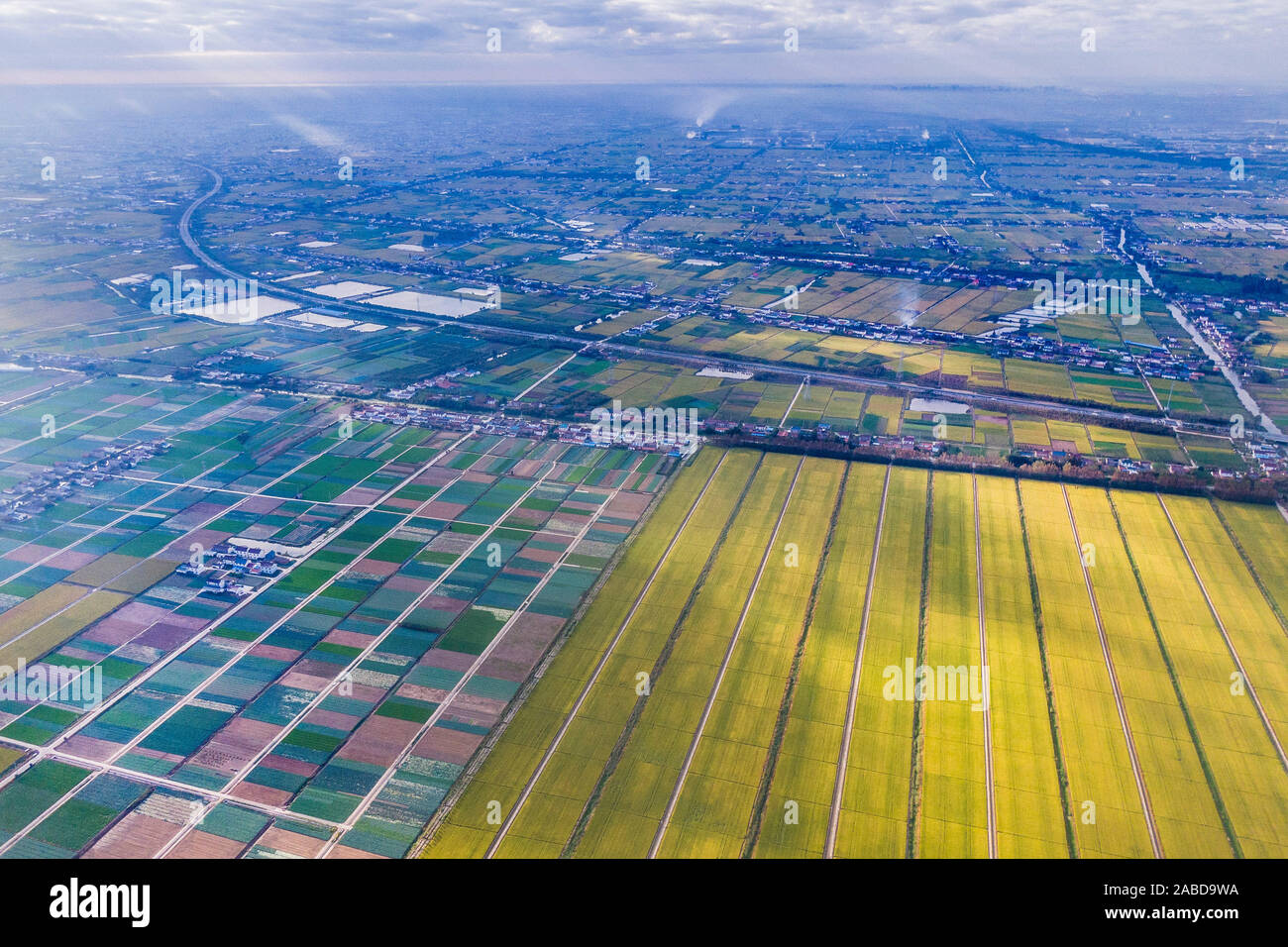 Aerial view of the wheat fields of Dagong Farm in Hai'an city, east ...